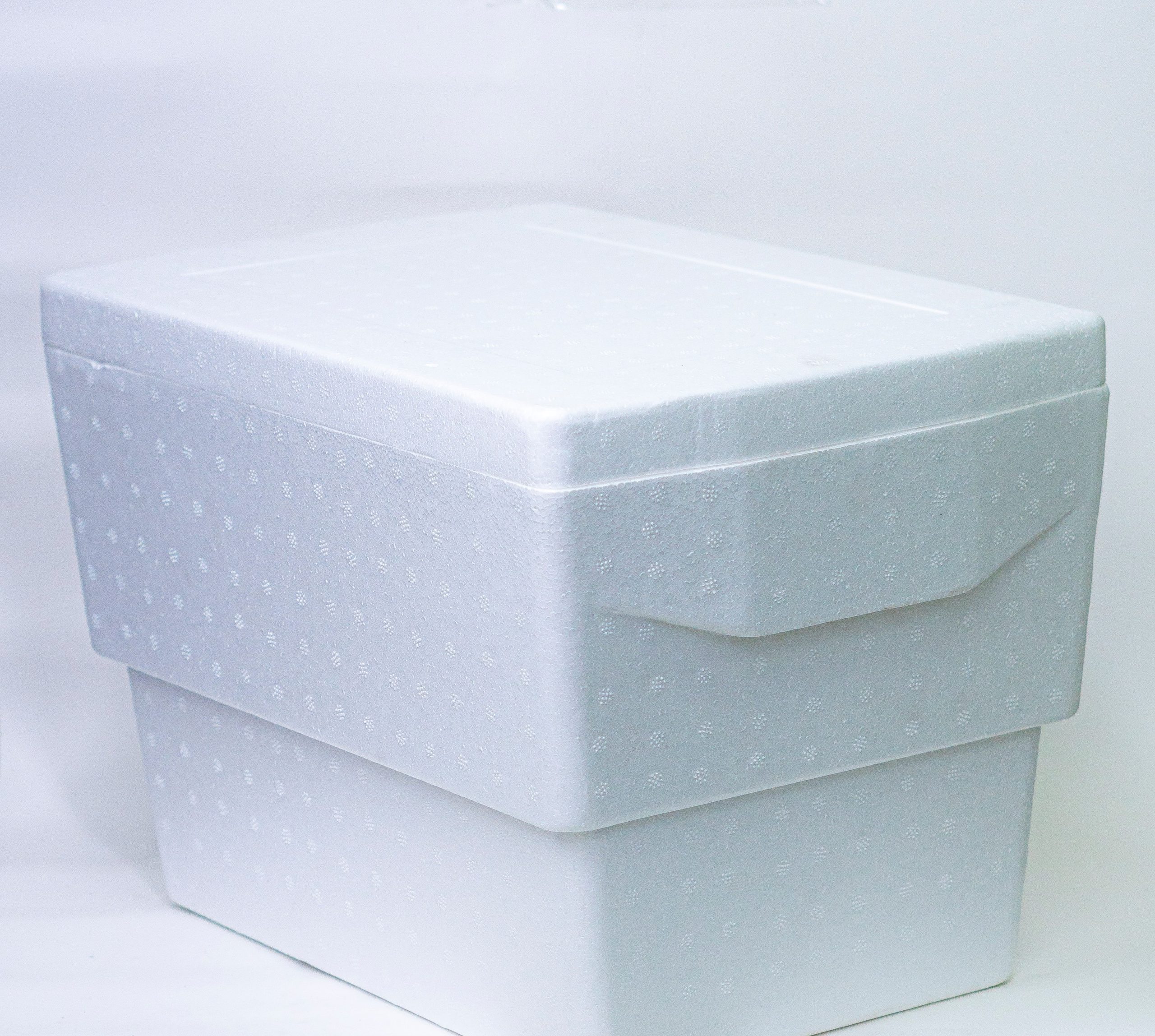 PLASTIMAR COOLER FOAM 21L – Iris Panama